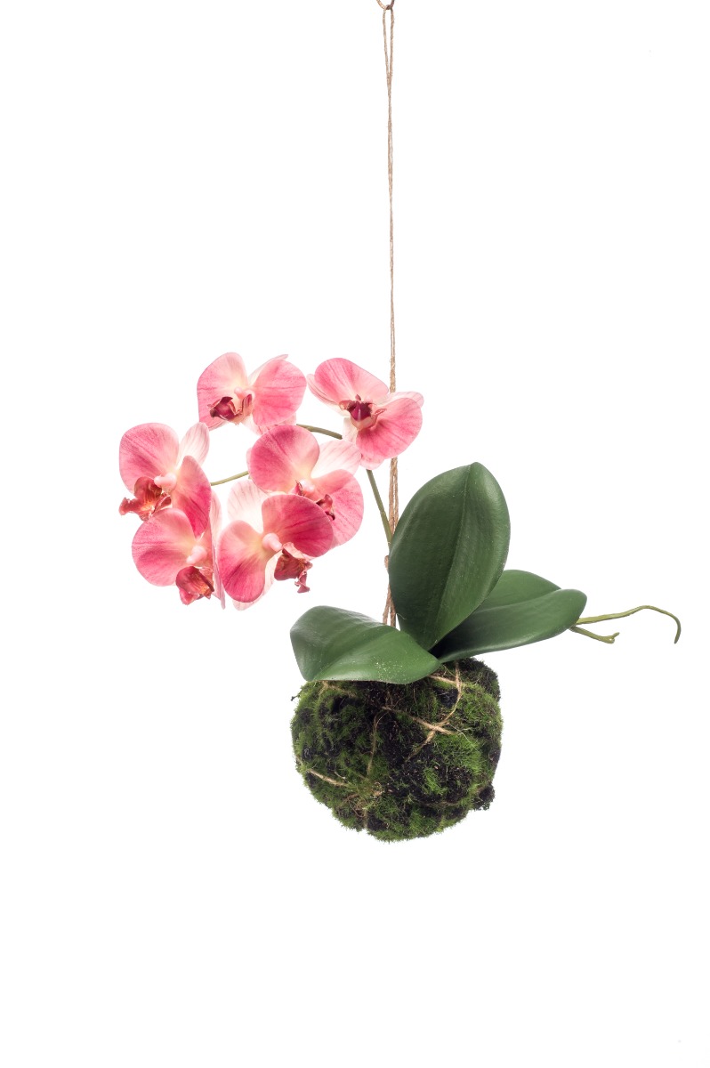 Orhideja Roze U Staklenoj Kugli - 32 cm - Garden Centar