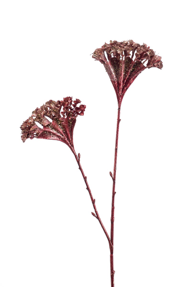 Celosia Crvena - 2 Grane - 72 cm - Garden Centar