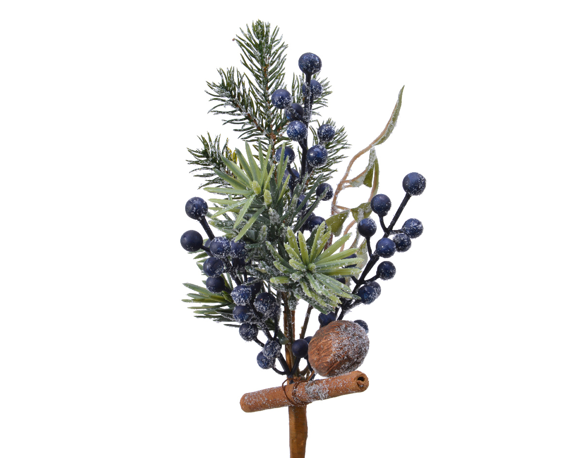 Grana - bobice borovnice zamrznute - 31 cm - Garden Centar