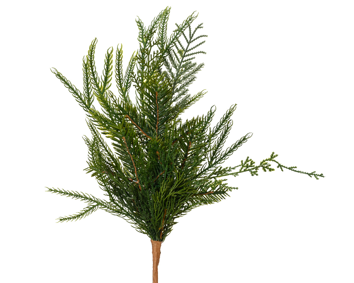 Grana - zelena od četinara - 50 cm - Garden Centar