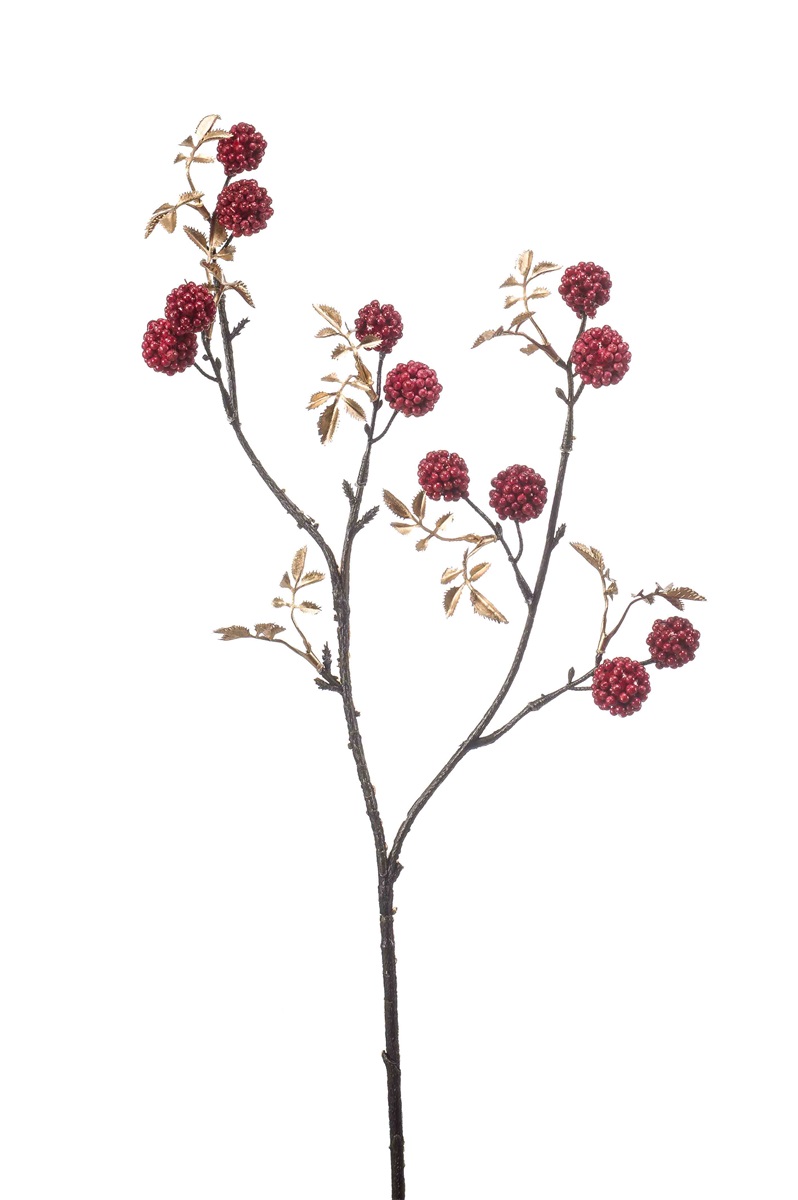 Dud Crveni - 2 Grane - 65 cm - Garden Centar