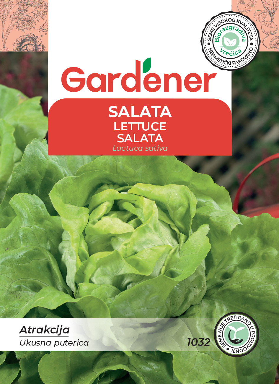 Salata puterica - Lactuca sativa - Garden Centar