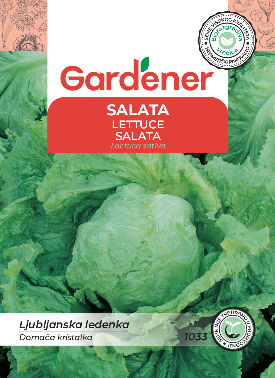 Salata Ljubljanska ledenka - Lactuca sativa - Garden Centar