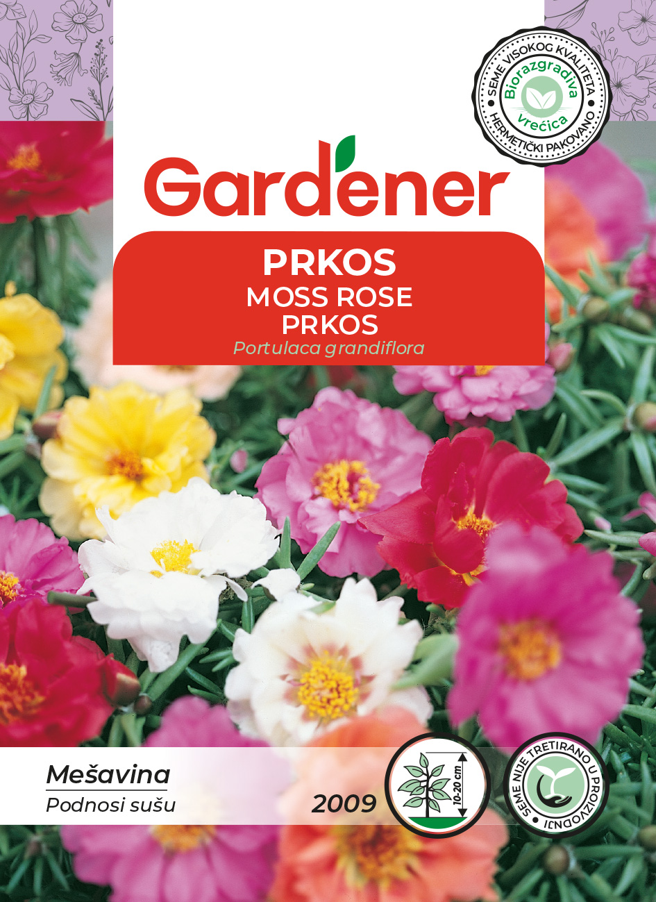Prkos mešavina - Portulaca grandiflora - Garden Centar