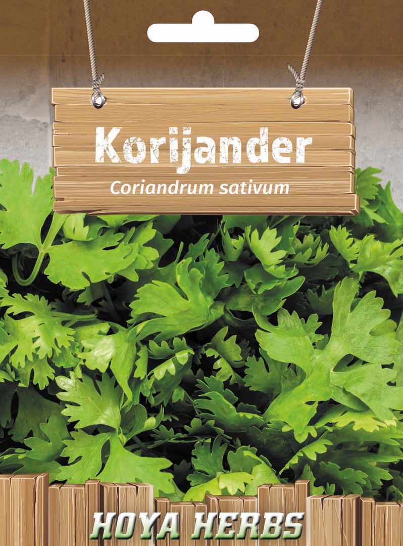 Korijander - Coriandrum sativum - Garden Centar