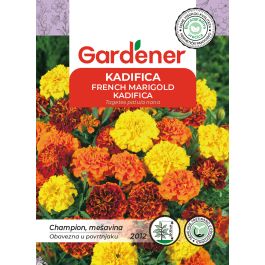 Kadifica mešavina - Tagetes patula nana | Tvoj Garden Centar